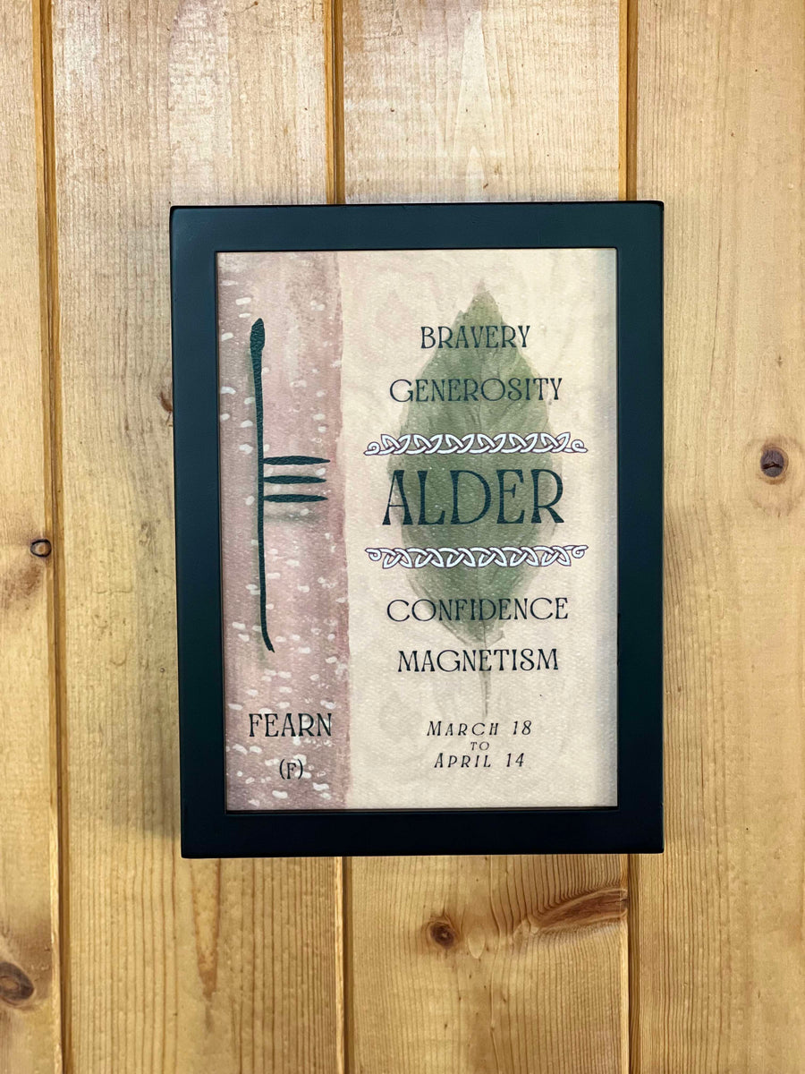 Alder Tree & Ogham Letter Fearn | Celtic Tree Astrology – OghamArt