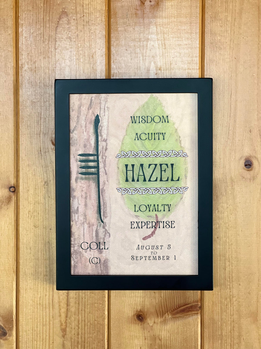 Hazel Tree & Ogham Letter Coll | Celtic Tree Astrology – OghamArt
