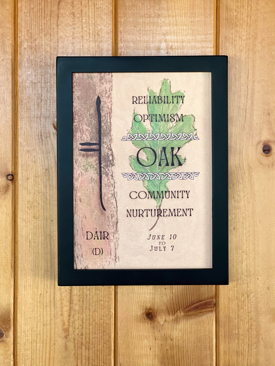 Oak Tree & Ogham Letter Dair | Celtic Tree Astrology – OghamArt