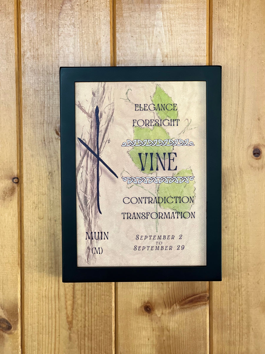 Vine & Ogham Letter Muin | Celtic Tree Astrology – OghamArt